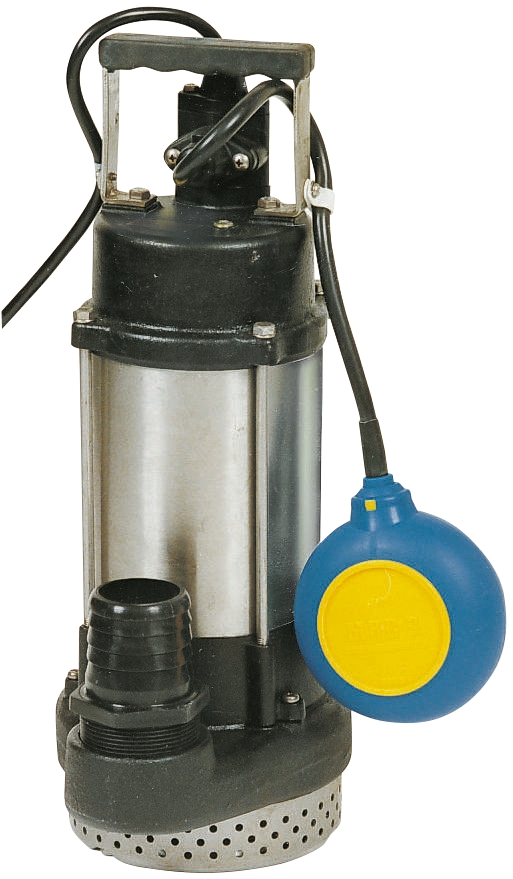 W Robinson And Sons 110 V Direct Coupling Submersible Submersible Water Pump 240L min