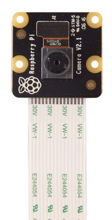 Raspberry Pi Camera V2.1 PiNoir (Bulk) | Módulo de cámara Raspberry Pi serie PiNoIR, interfaz ...