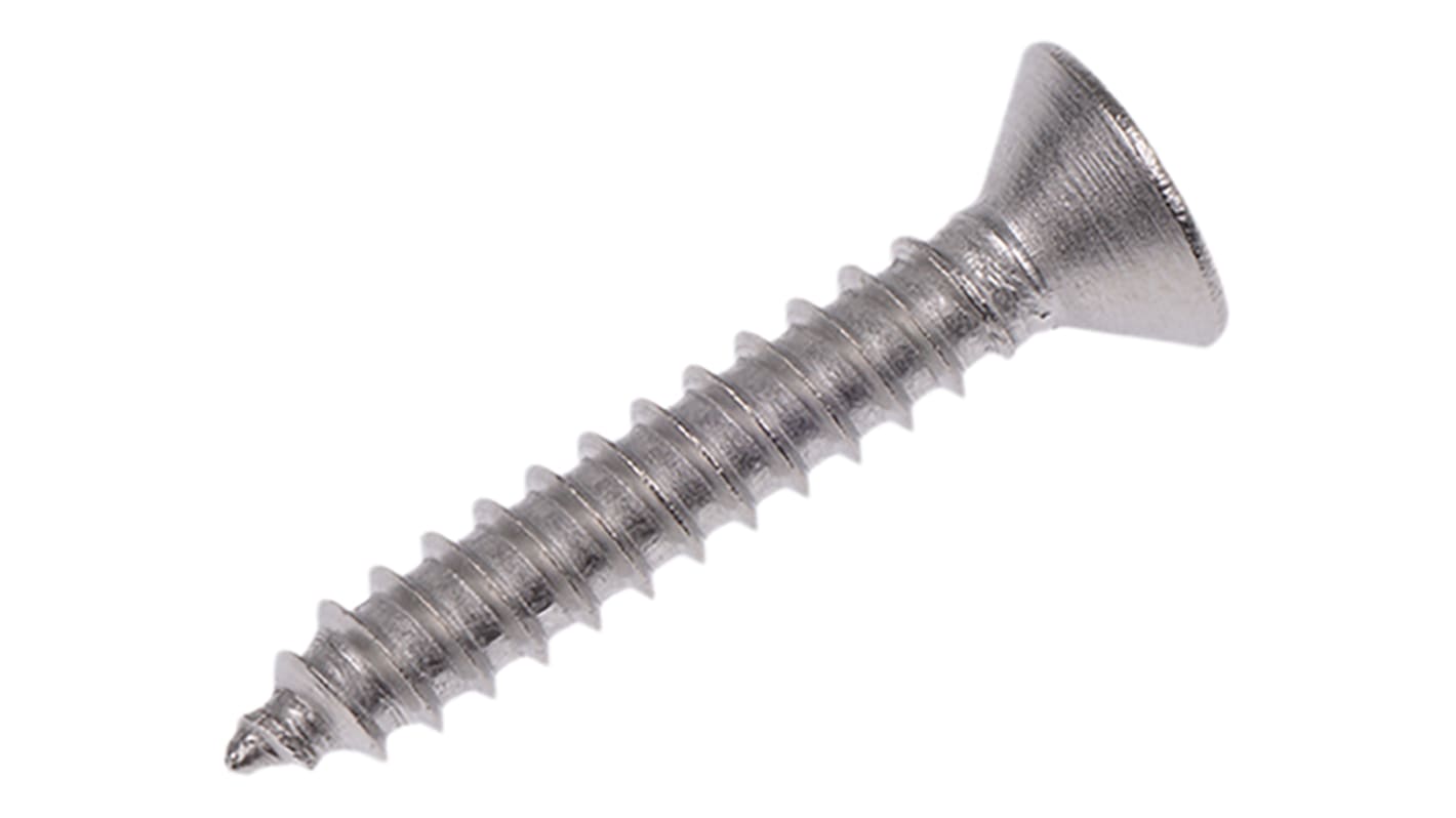Stainless steel self tapping screws store