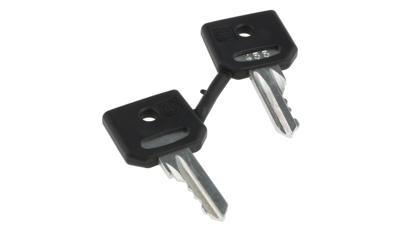 ZBG455 | Schneider Electric Key 455 for XALD - XALK - XB4 - XB5 Series | RS
